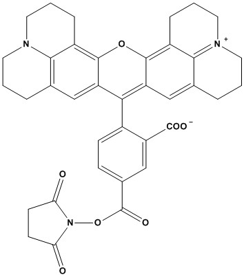5-ROX, SE - ChemPep