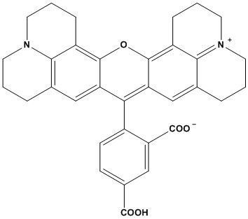 5-ROX – ChemPep