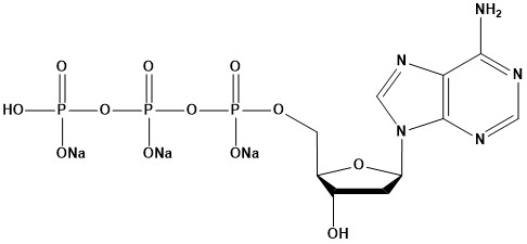 dATP trisodium salt - ChemPep