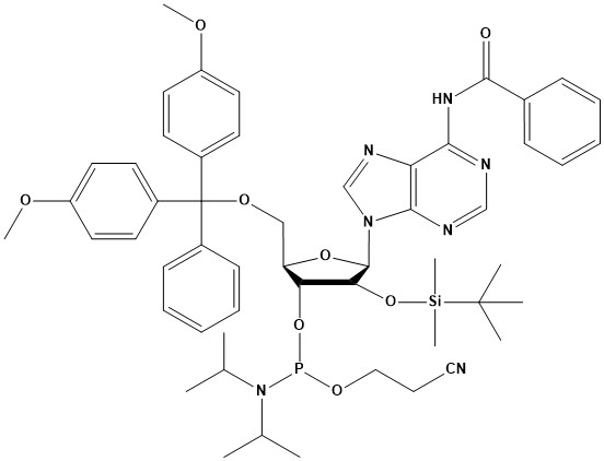 DMT-2'-O-TBDMS-rA(Bz) Phosphoramidite - ChemPep