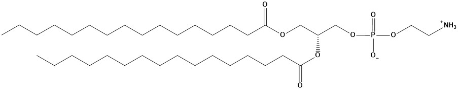 DPPE - ChemPep