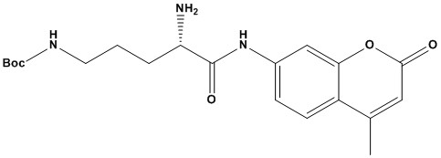 H-Orn(Boc)-AMC - ChemPep